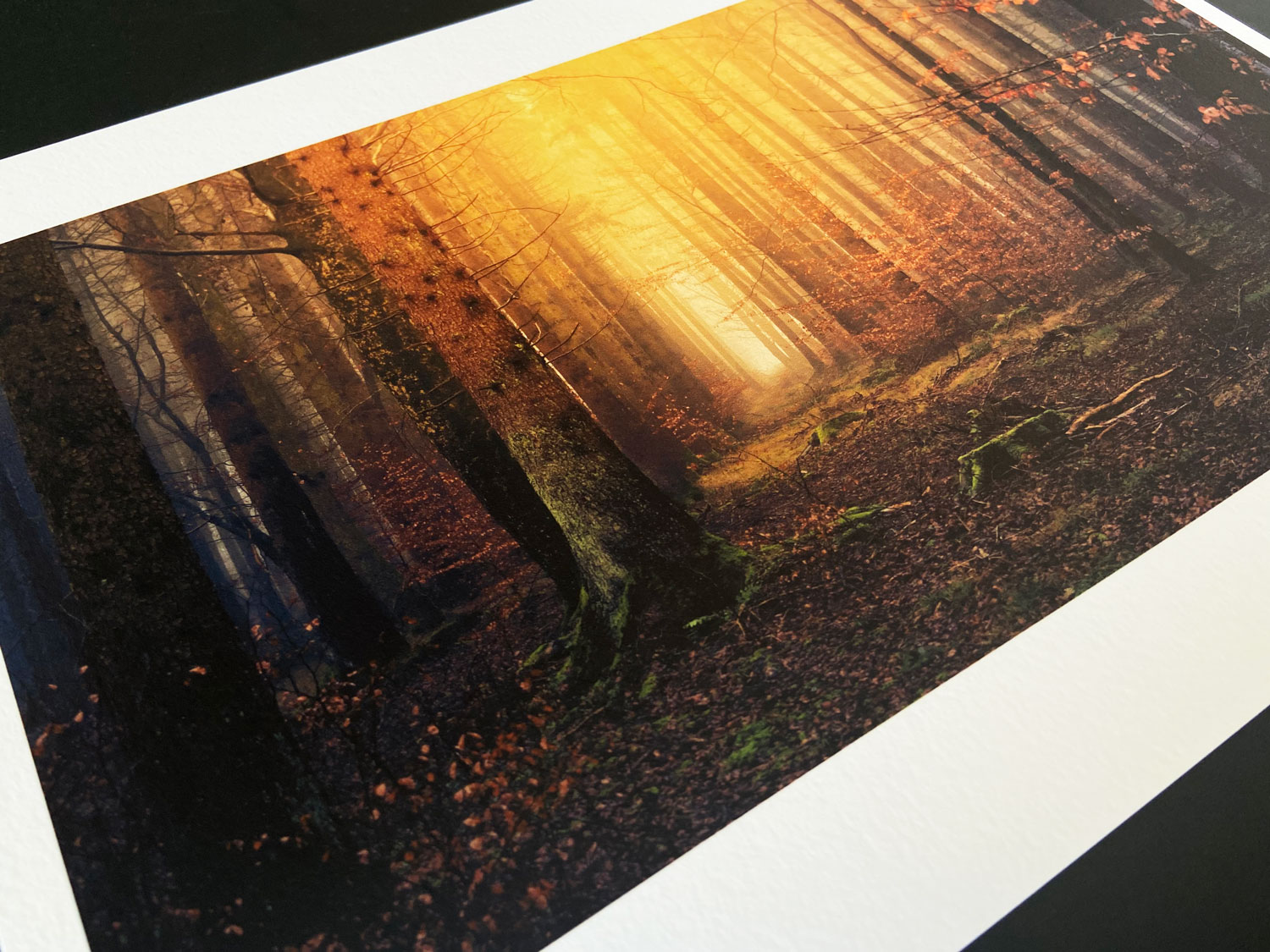 How to Make Amazing Autumn Photography Prints - PermaJet